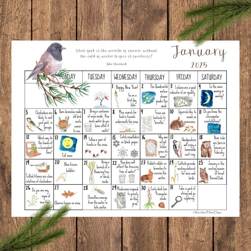 Nature Calendar - Etsy