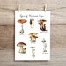 Mushroom Anatomy, Cap Types Poster, & Flashcards - Etsy
