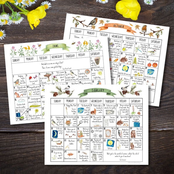 Nature Calendar - Etsy
