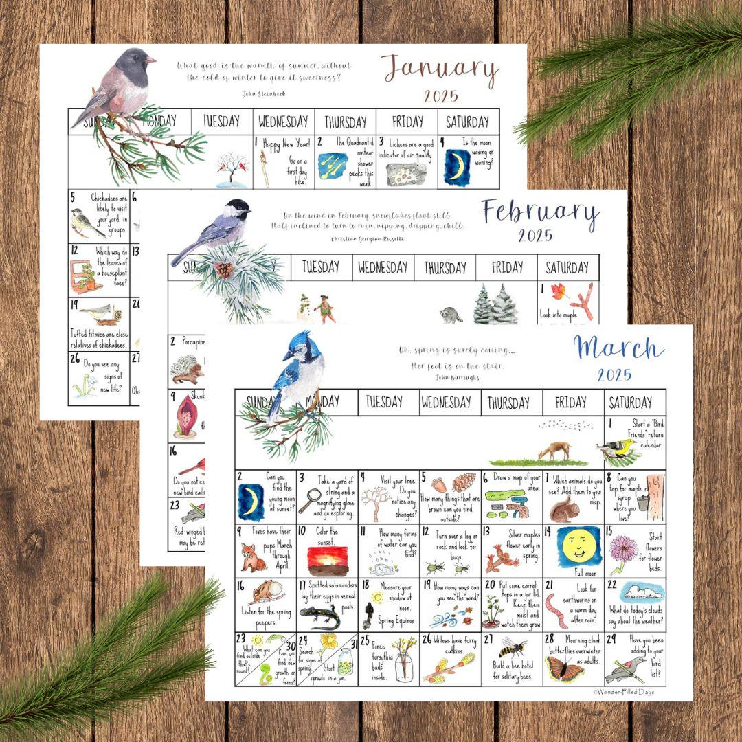 2025 Wonder-filled Days Nature Calendar (digital) - Etsy