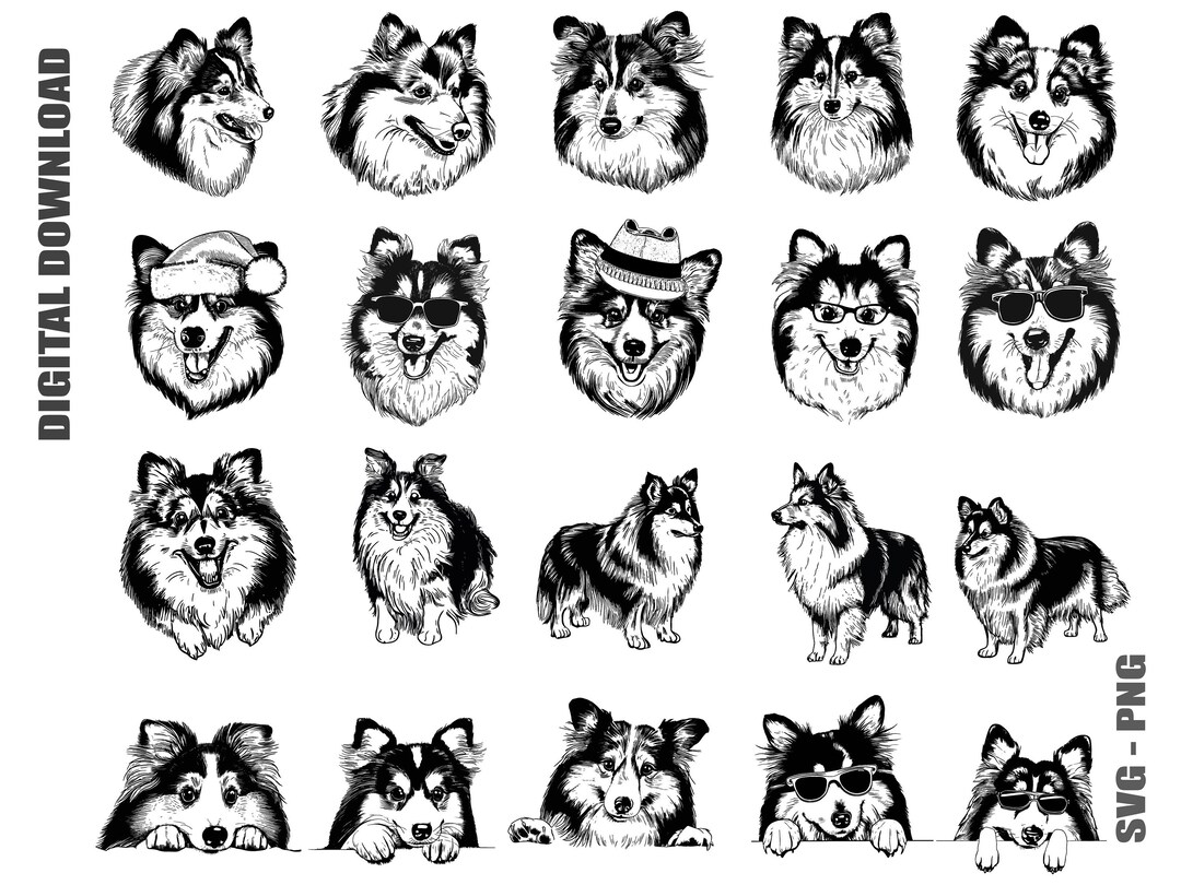 Shetland Sheepdog Svg, Sheltie Svg, Shetland Sheepdog Png, Shetland ...