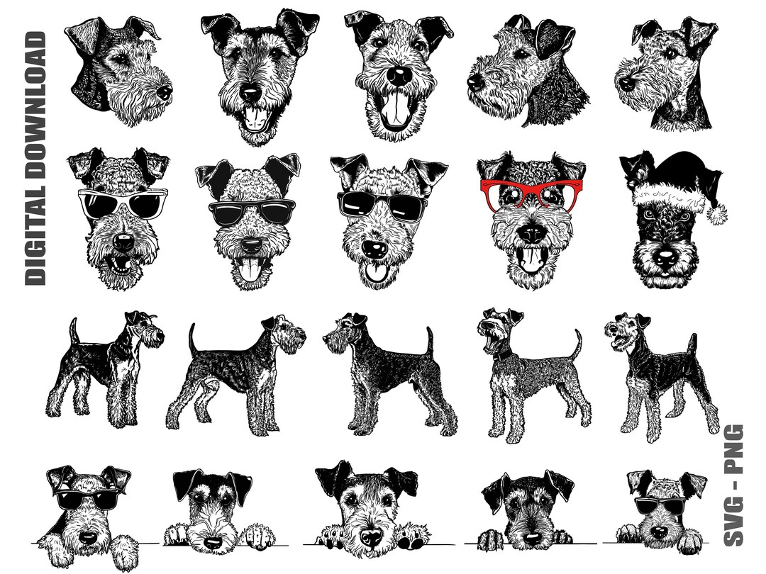 Airedale Terrier Svg, Airedale Svg Airedale Terrier Head Svg Peeking ...