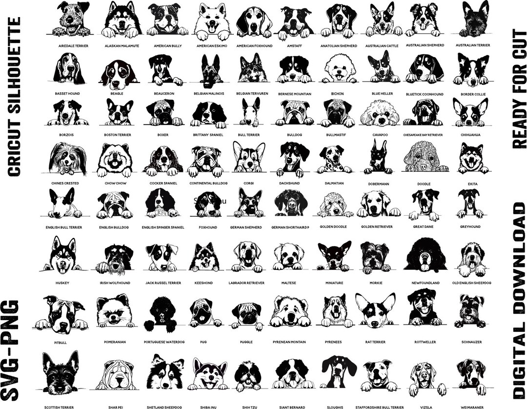 Charming Canines Peeking Dogs SVG Bundle With Extended Commercial Use ...