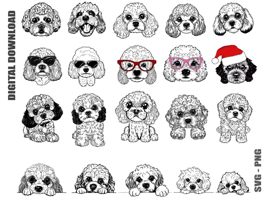 Cavapoo Svg, Peeking Cavapoo Dog SVG, Cavapoo Dog Head SVG, Cavapoo Dog ...