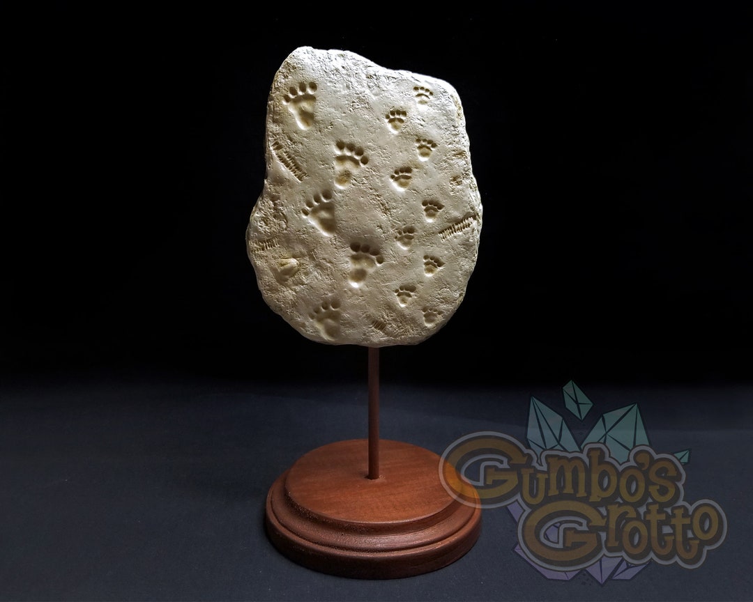 Ancient Fossil Footprints Magical Creature Rock Monster Fairy Gnome ...