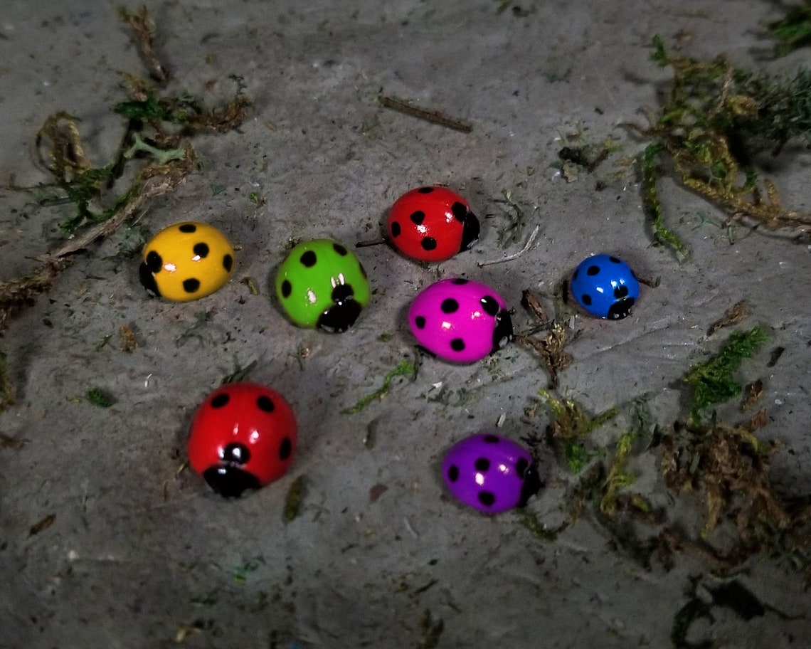 Ladybug Spirit Guardian Glowing Magical Crystal Polymer Clay - Etsy