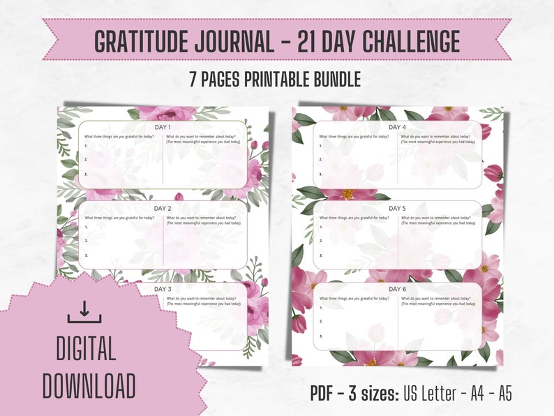 Gratitude Journal Printable for 21 Day Challenge Mindfulness - Etsy