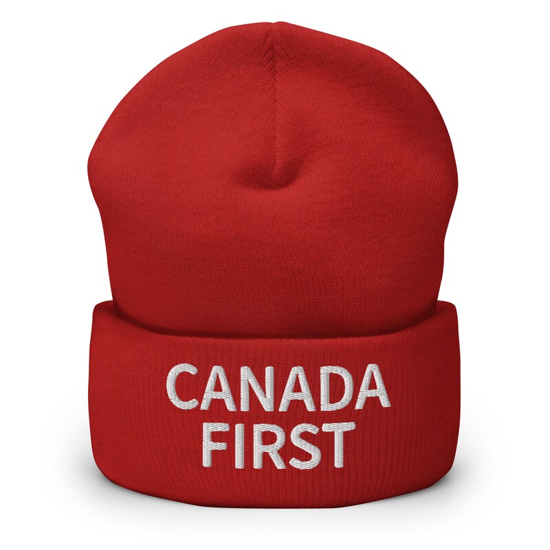 Pierre Poilievre Hat - Etsy Canada