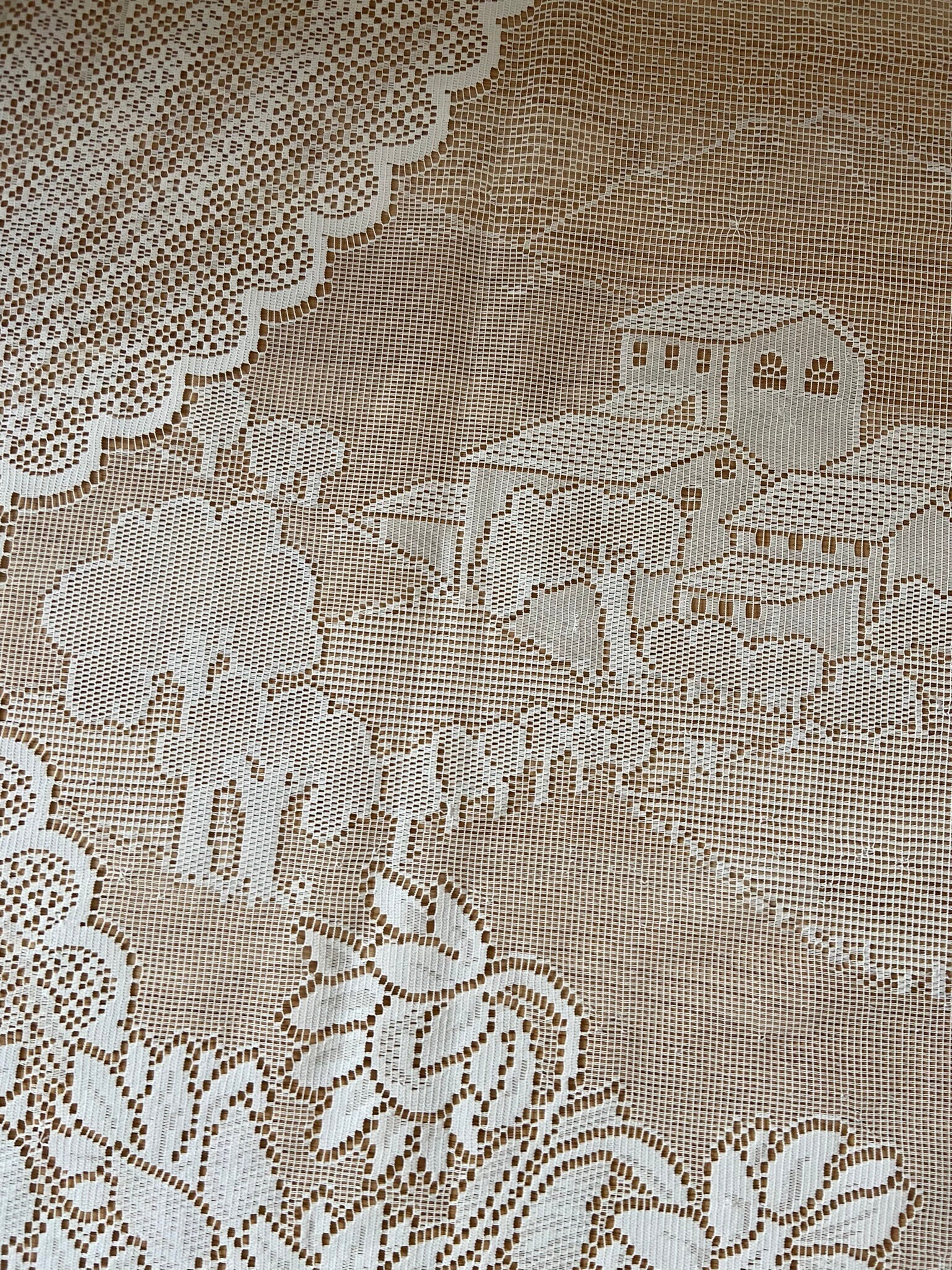 Pair of Traditional French Long and Narrow Lace Net Picture - Etsy UK