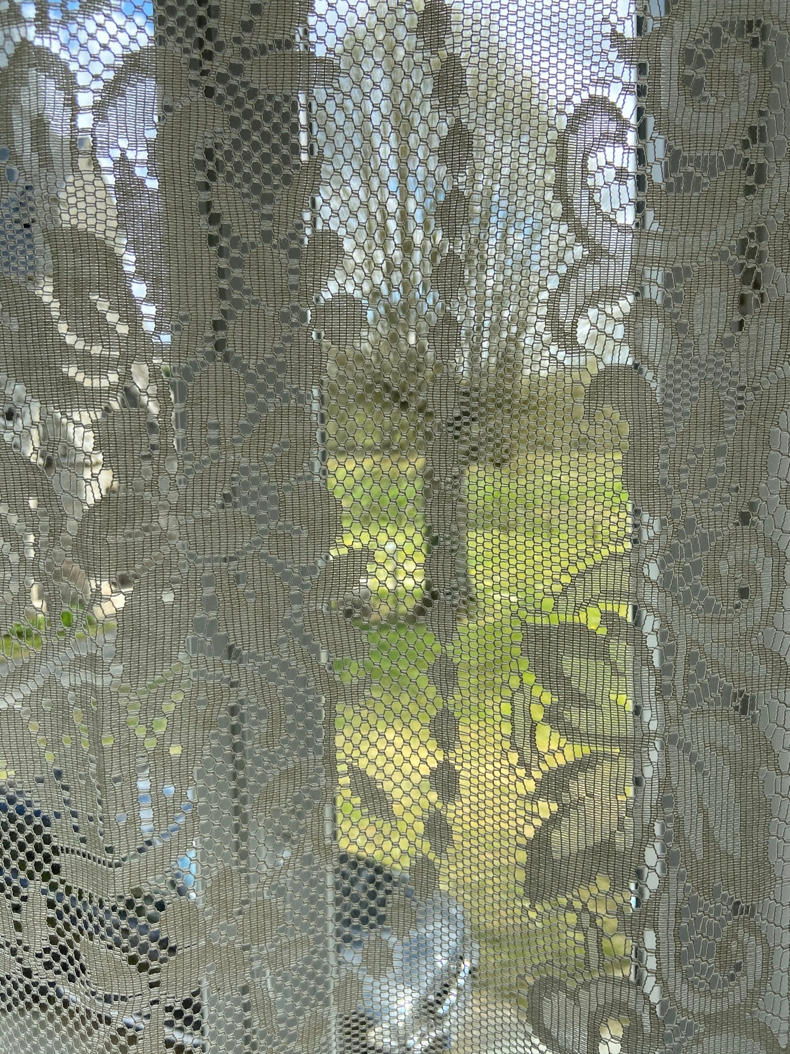 Traditional French Small Cream Lace Net Floral Picture Panel / | Etsy