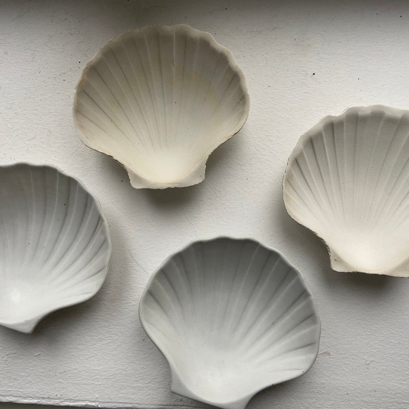 Clam Shell Bowl - Etsy