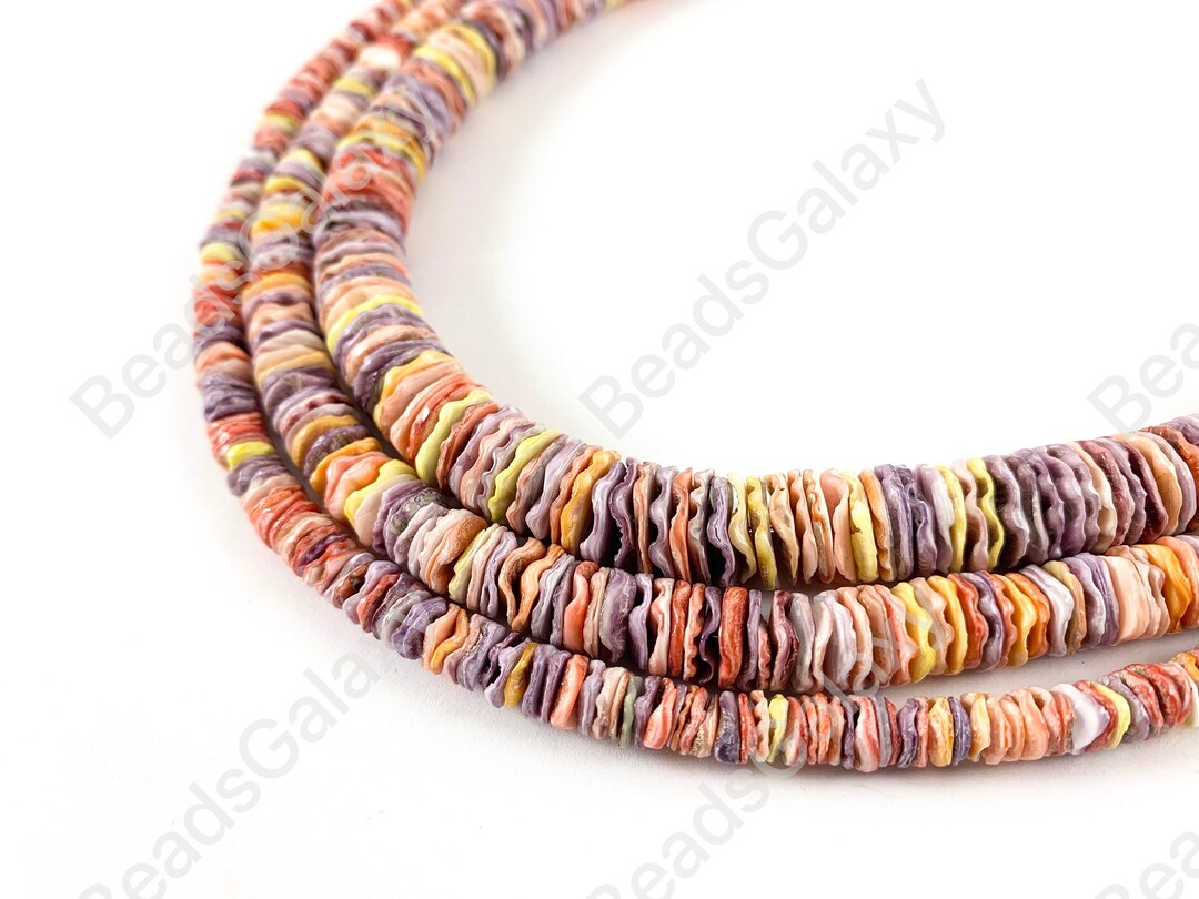 Rainbow Pectin Shell Wavy Heishi Beads Around 15-16" - Etsy