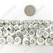 Shiva Eye Shell - Natural Indonesian Snowy-white Swirl Coin Shape Shell ...