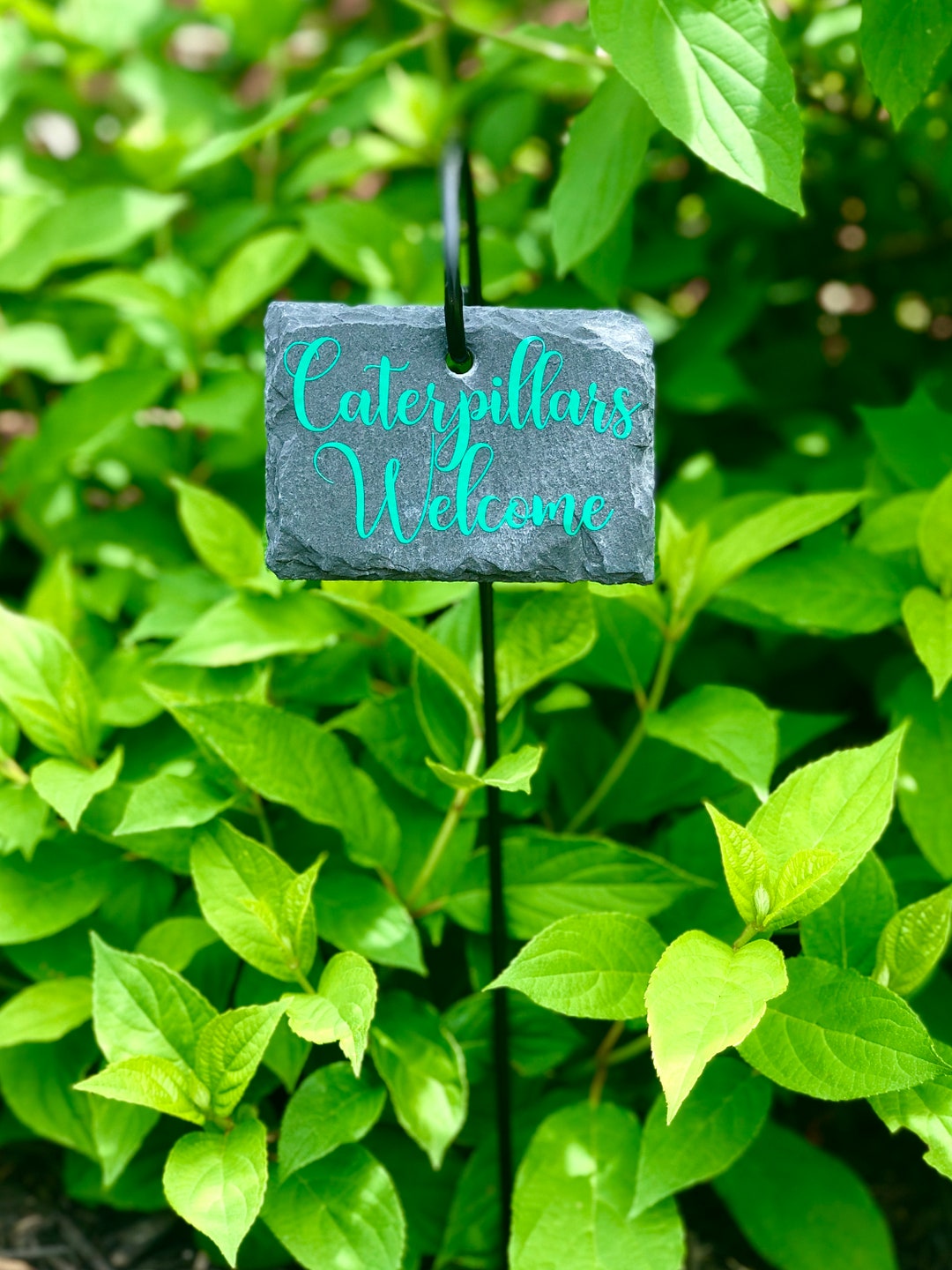 Caterpillars Welcome, Garden Marker, Funny Garden Sign, Weather ...