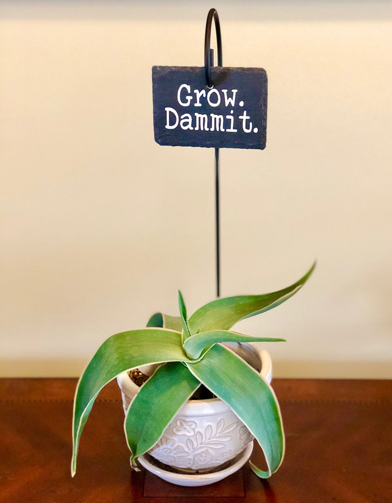 Grow. Dammit. / Garden Marker / Funny Garden Sign / - Etsy