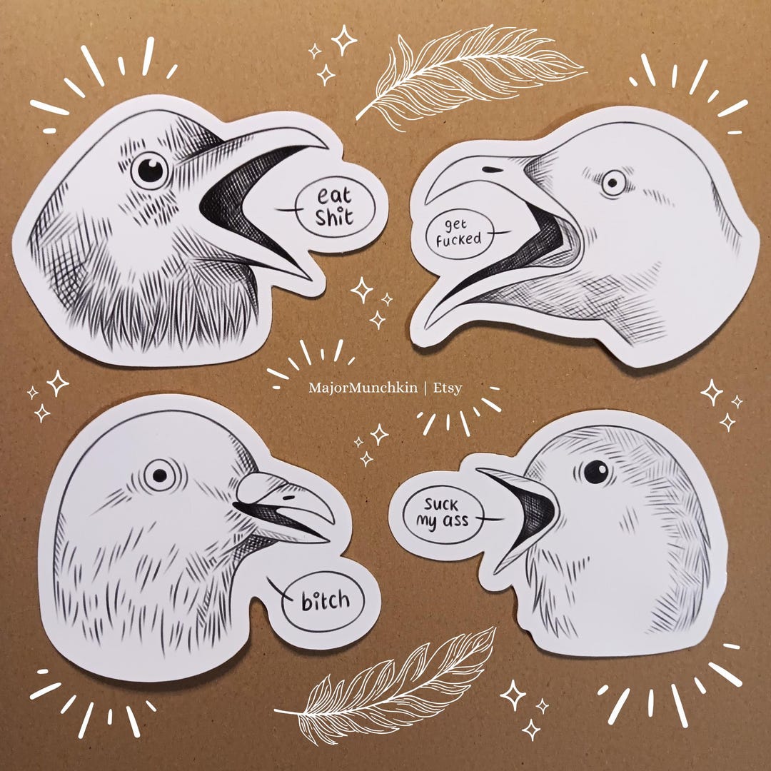 Rude Swearing Birds, Crow, Seagull, Pigeon, Robin, Funny, Meme | Vinyl ...
