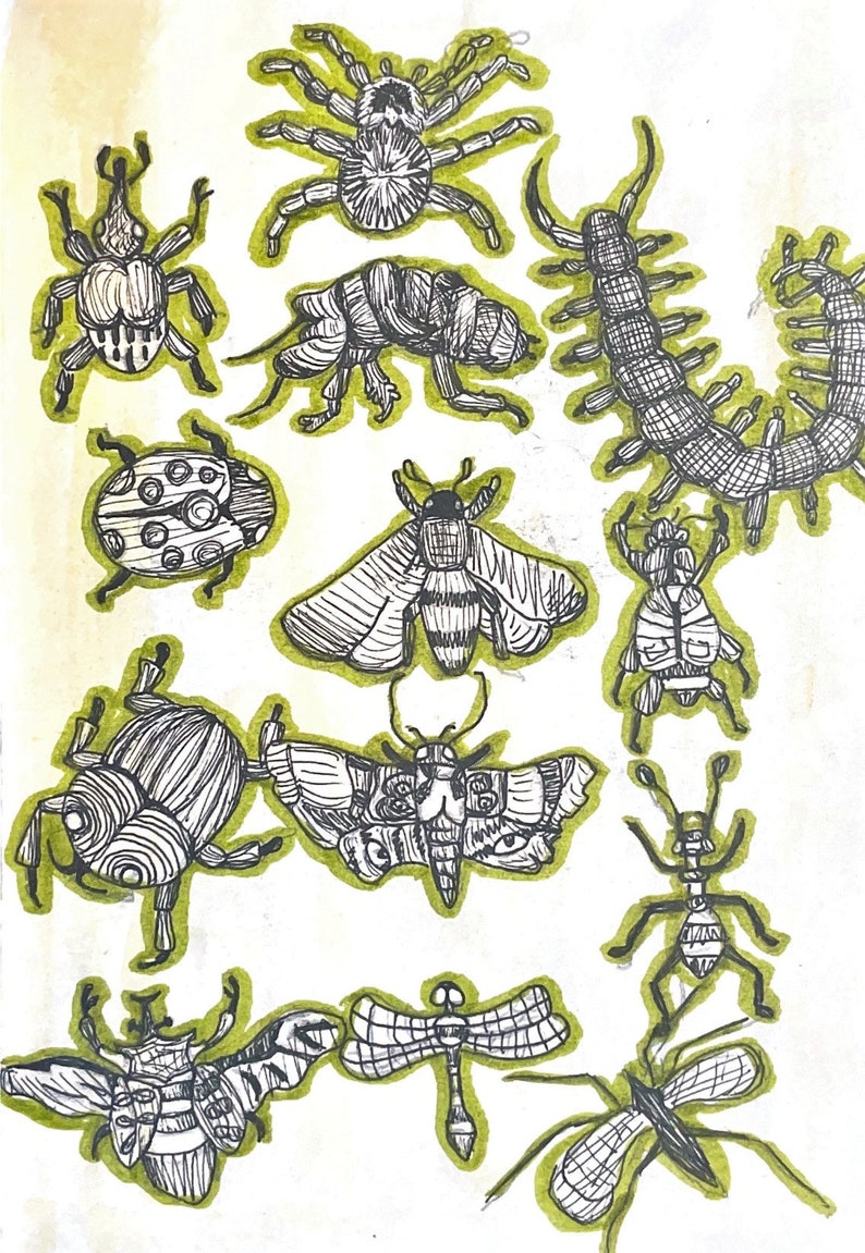 Insect Print - Etsy