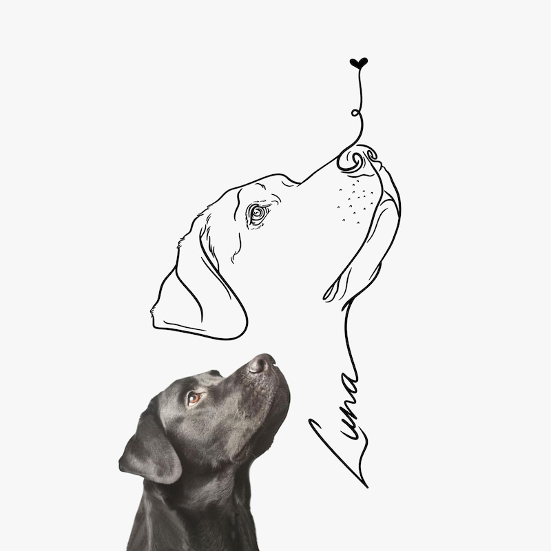 Line Drawing Commission - Etsy UK