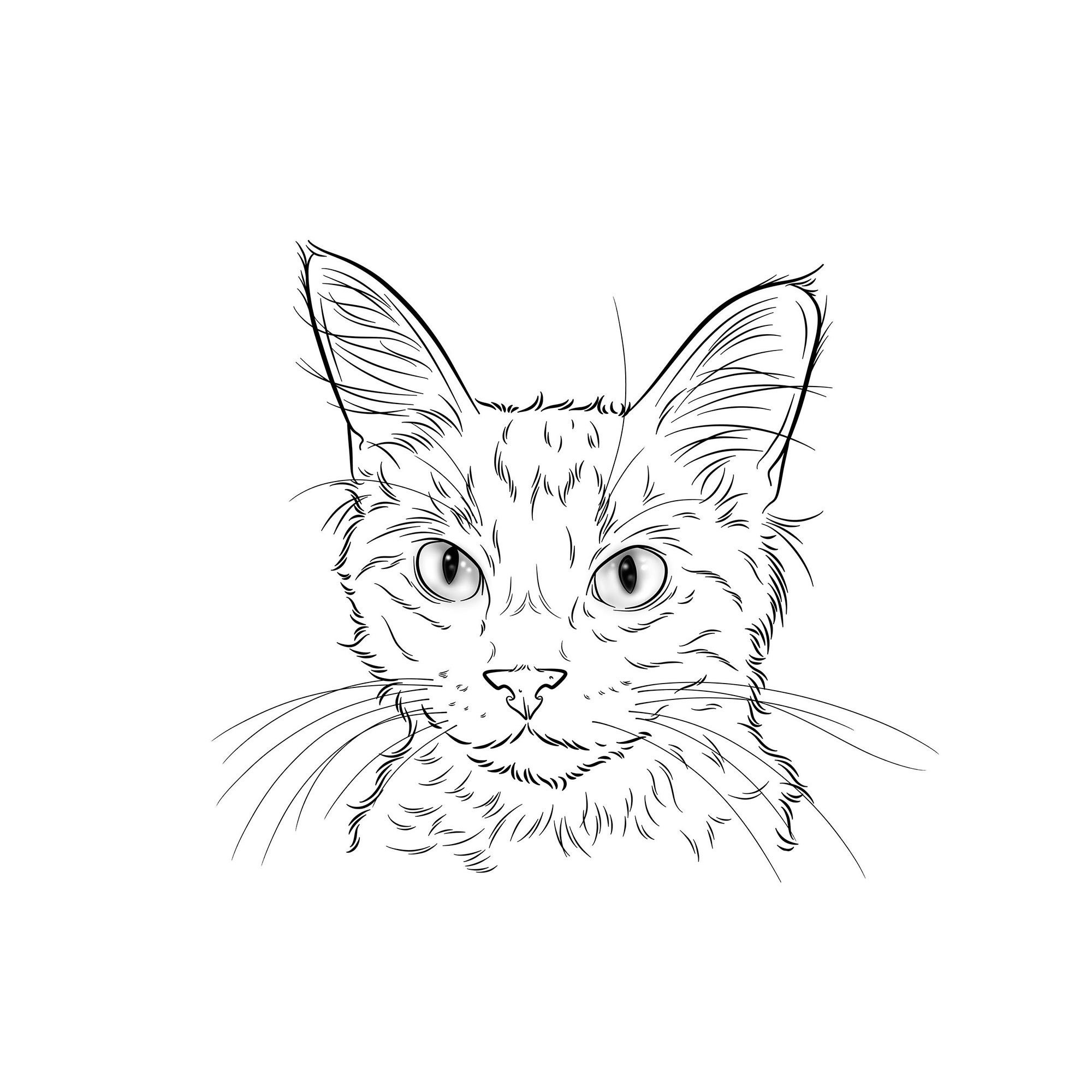 Real Cat Face Outline