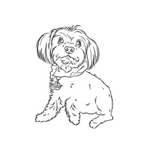 Dog Outline, Custom Line Drawing, Pet Portrait Full Body, Inked Line ...