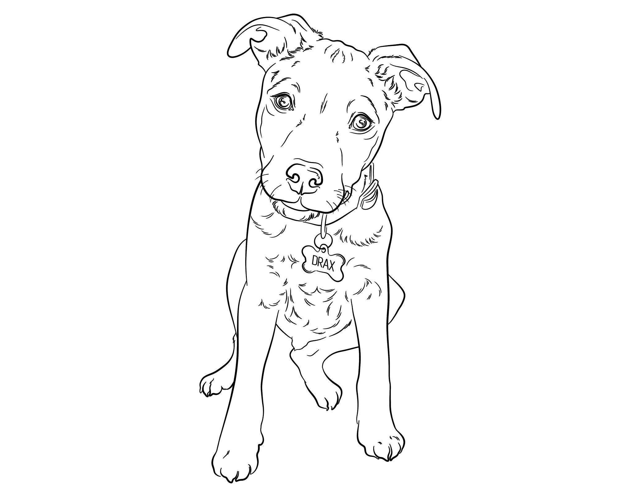 Dog Outline Custom Line Drawing Pet Portrait Full Body - Etsy