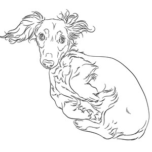 Dog Outline Custom Line Drawing Pet Portrait Full Body - Etsy