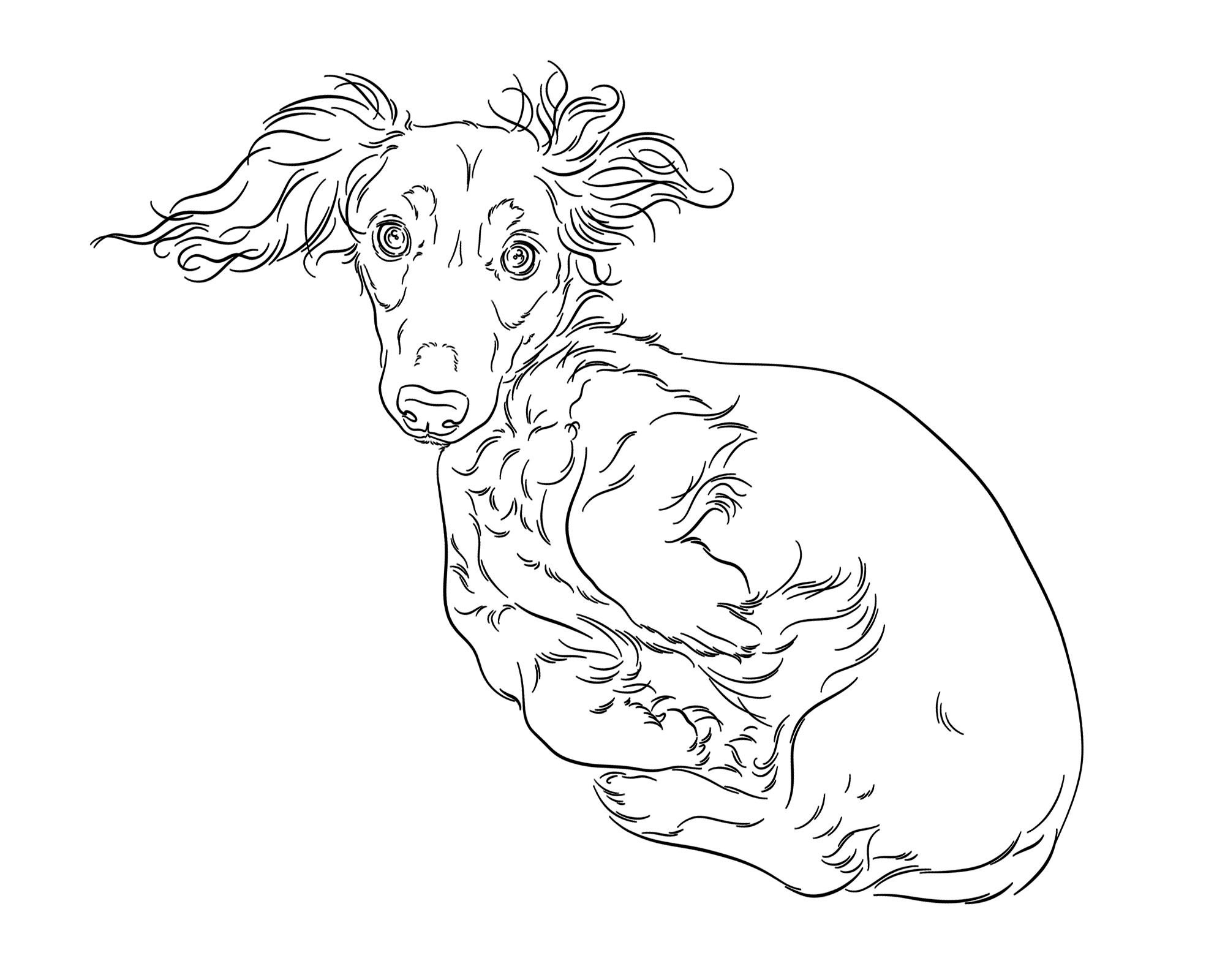 Dog Outline Custom Line Drawing Pet Portrait Full Body - Etsy