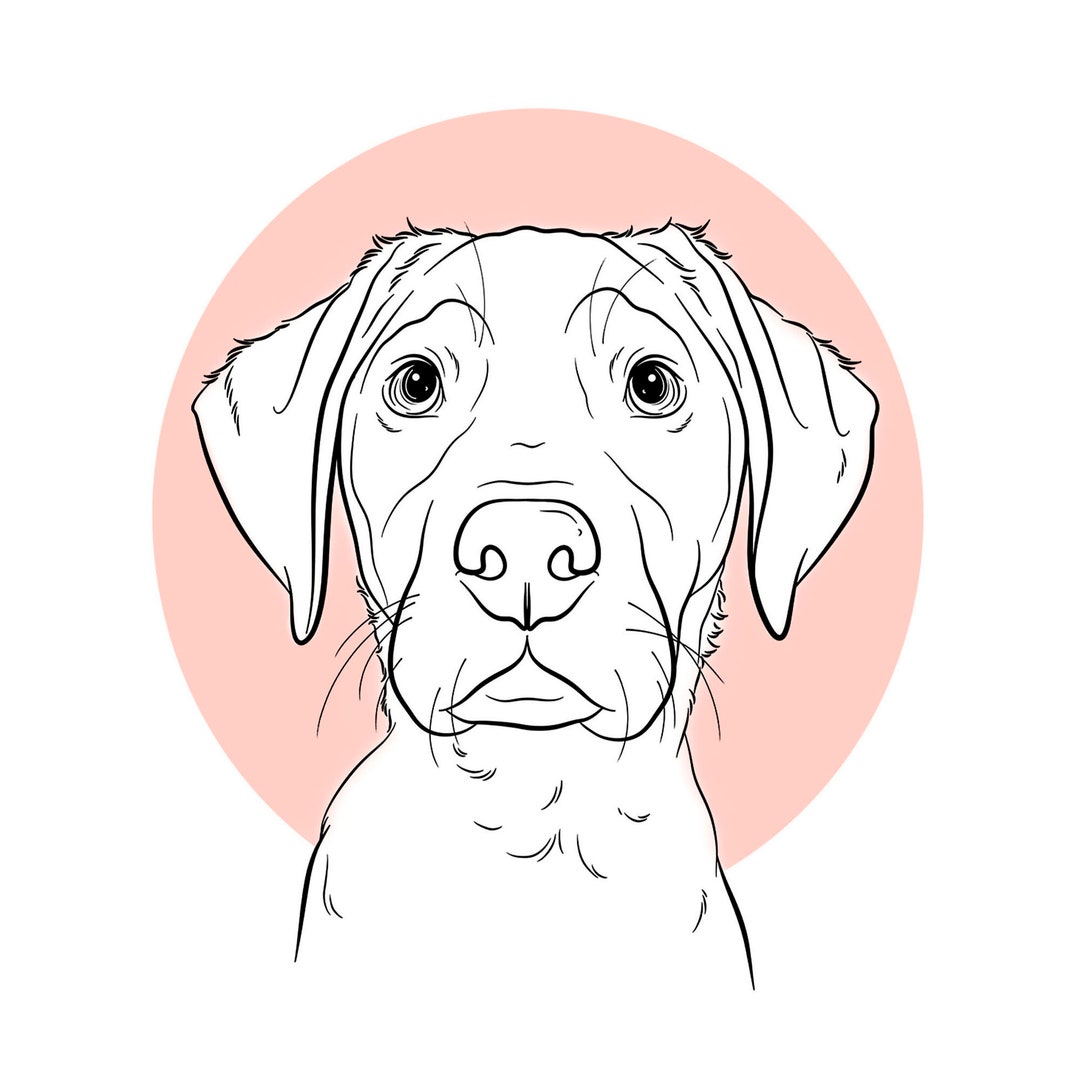 Dog Sketch, Pet Line Art, Custom Line Drawing From Photo, Heartfelt ...