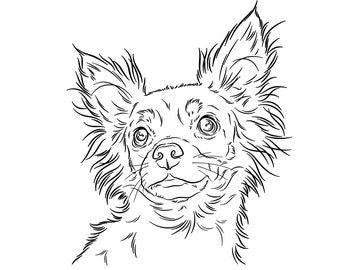 Line Drawing Chihuahua - Etsy