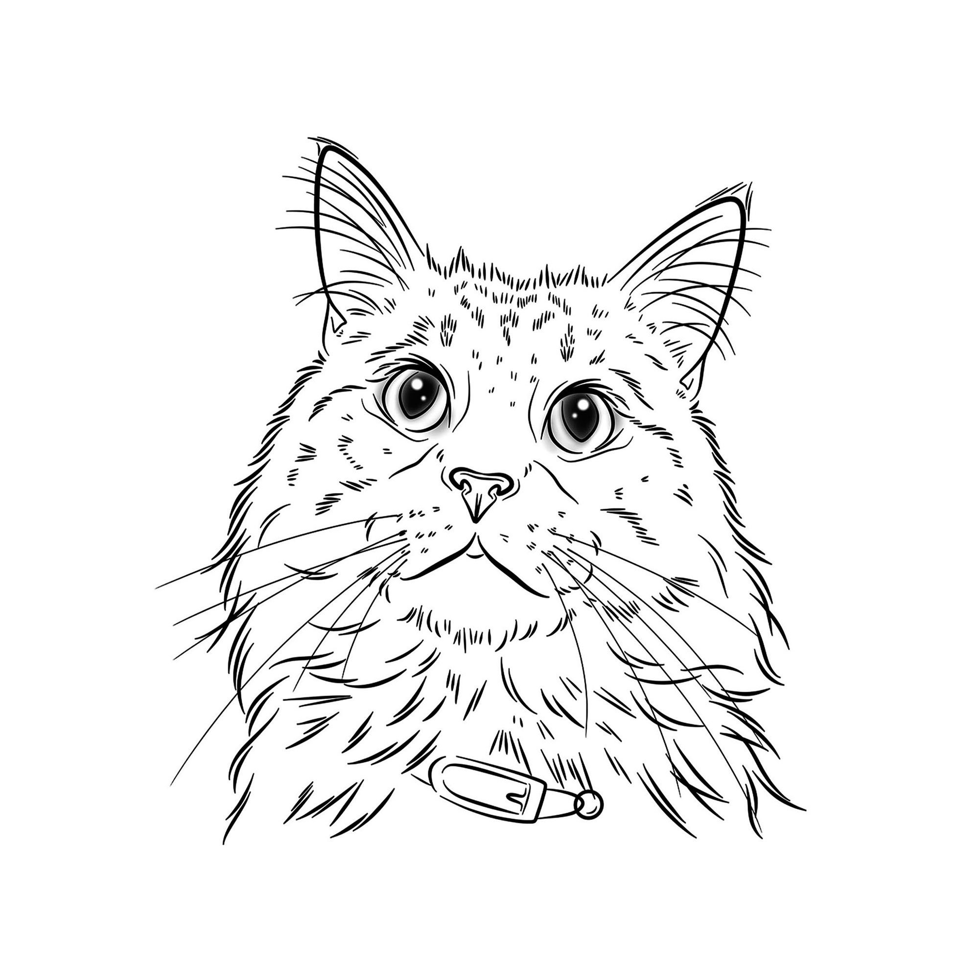 Cat Outline Drawing How To Draw A Walking Cat Outline Really Easy