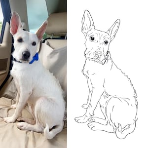 Custom Pet Line Drawing Portrait, Digital Dog or Cat Sketch From Photo ...