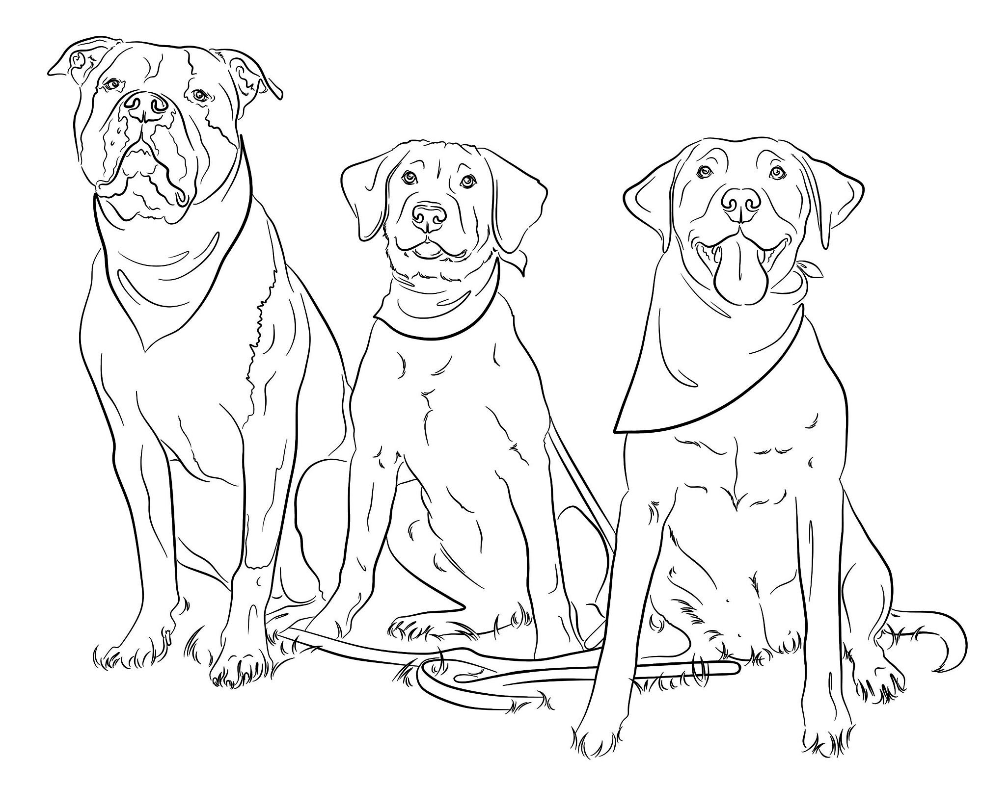 Dog Outline Custom Line Drawing Pet Portrait Full Body - Etsy