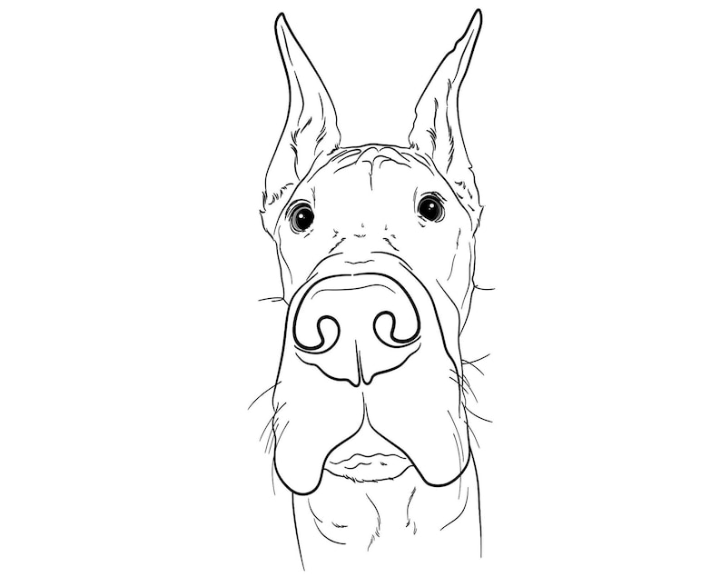 GREAT DANE Outline Dog Line Art From Photo Dog Sketch - Etsy