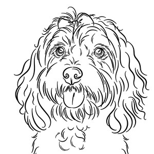 POODLE Line Art Dog Line Drawing OUTLINE From PHOTO - Etsy