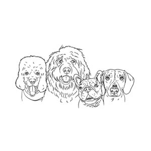 4 Pet Portrait From Photo, Custom Four Dog or Cat Line Drawing, Art ...