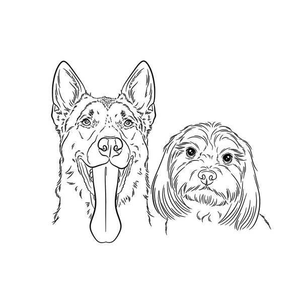 Two Dog Portrait Line Drawing - Etsy