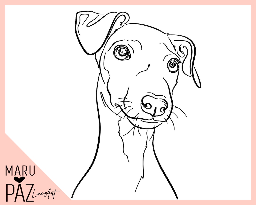 GREYHOUND Outline Dog Line Art From Photo Borzoi Sketch - Etsy