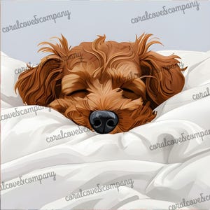 Cavapoo Art Print | Sleeping Cavoodle Dog Poster | Blue Home Decor ...