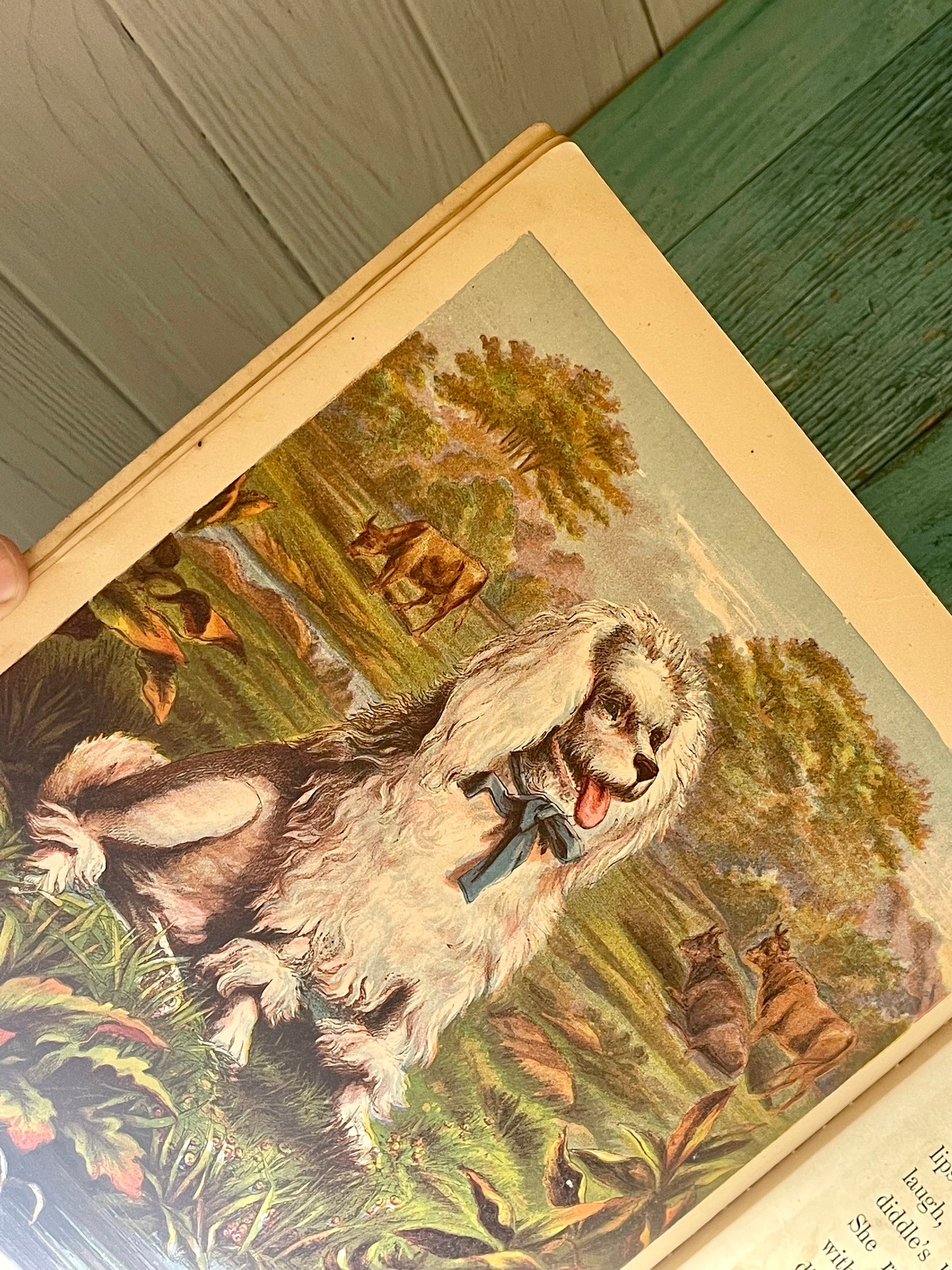 Hey Diddle Diddle 1880s Children's Book Mcloughlin Bros Color ...