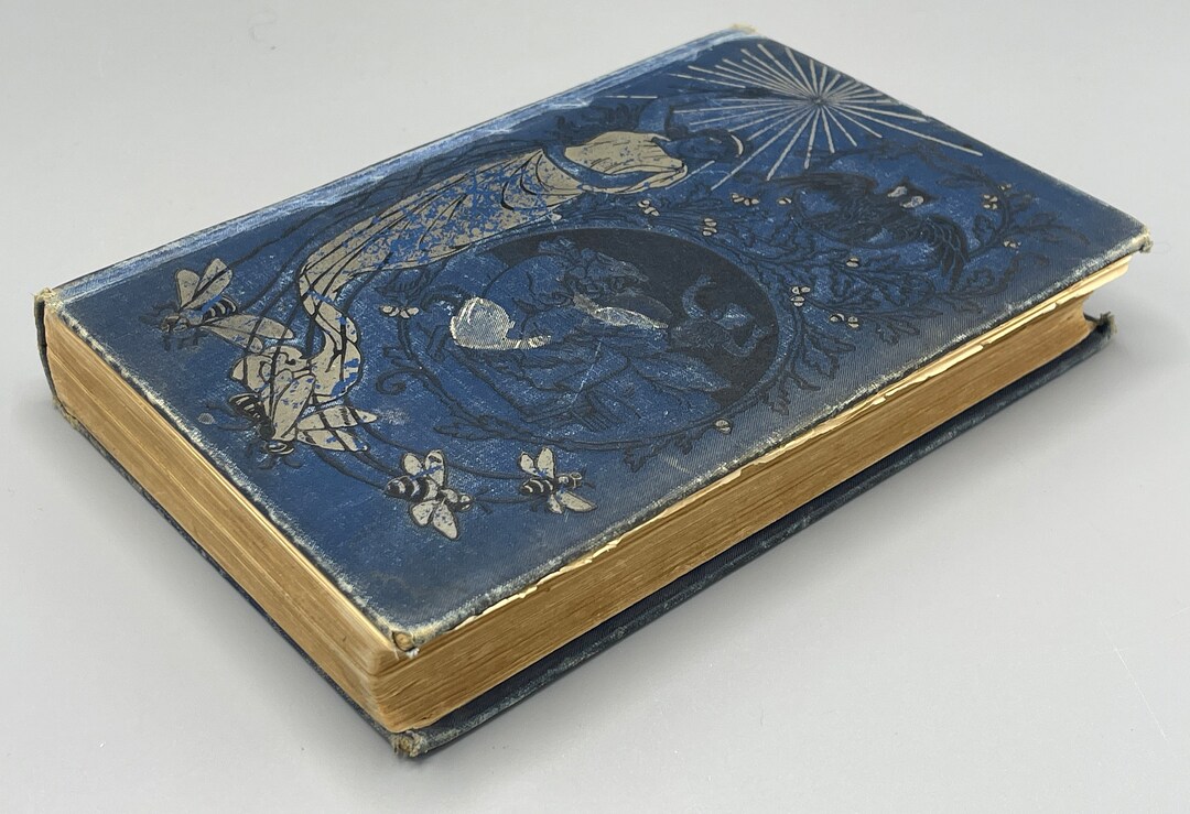 The Blue Fairy Book by Andrew Lang 1920s Edition - Etsy