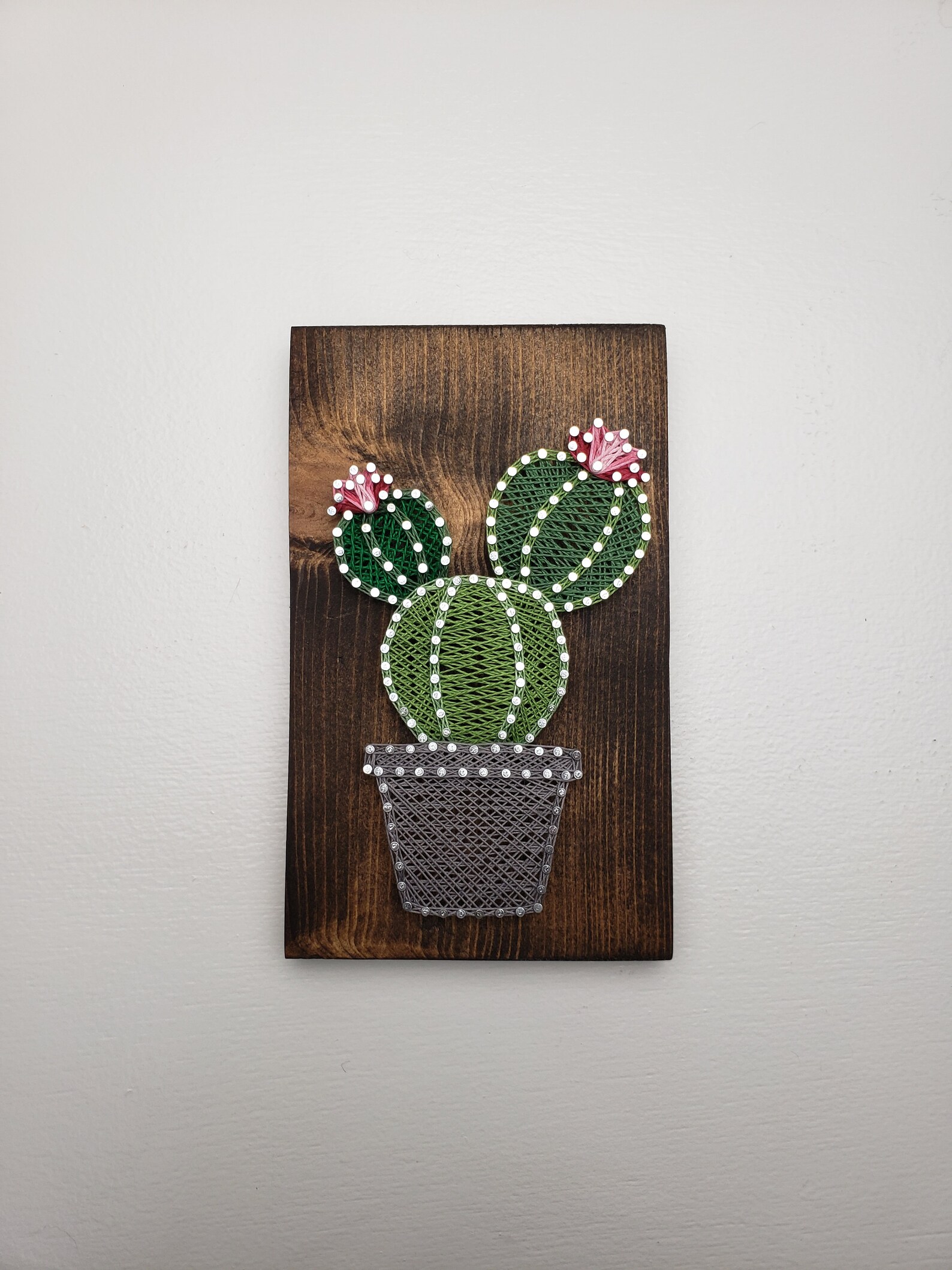 Succulent String Art String Art Décor String Art Set Nail - Etsy