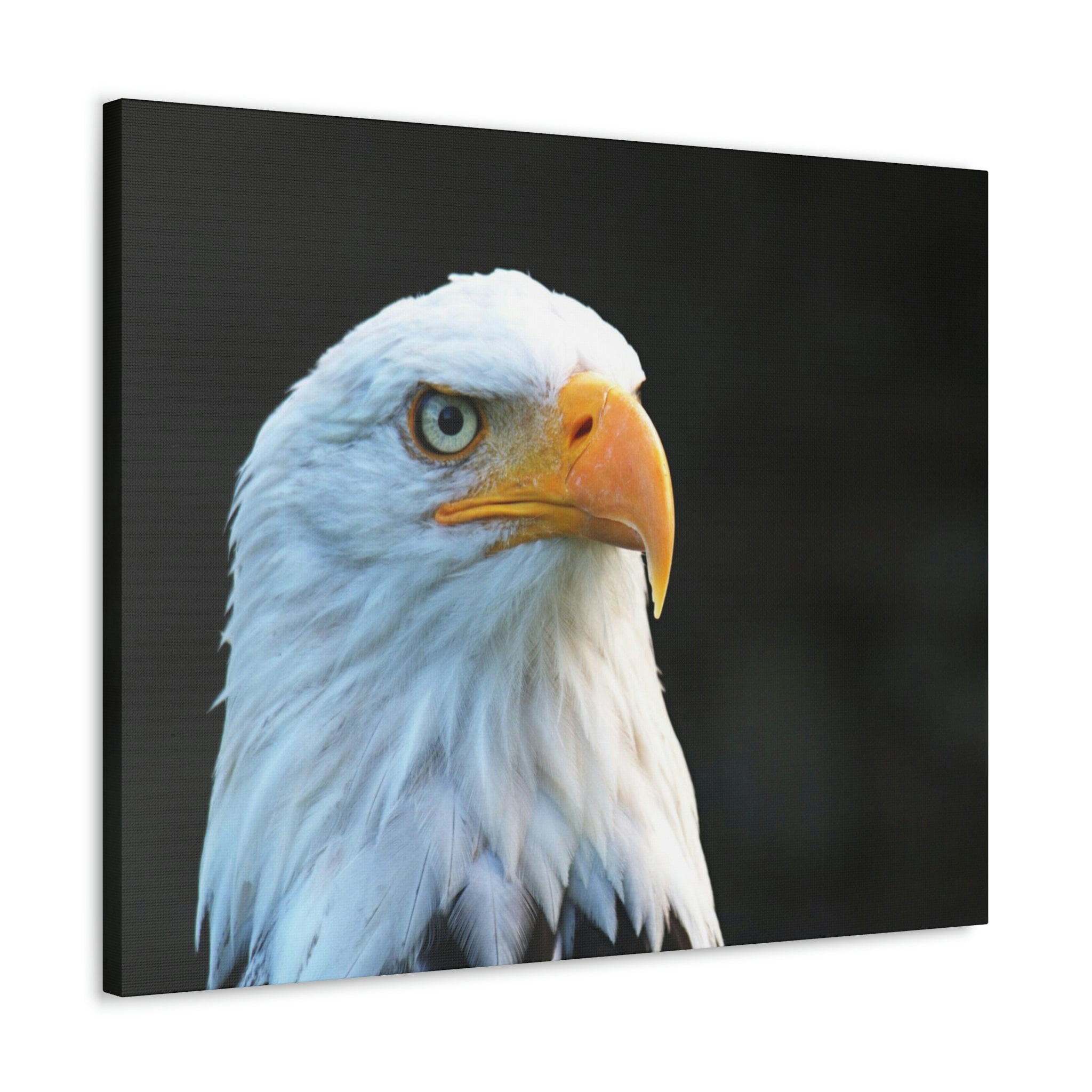 Wall Art Wraps Bald Eagle Art Print Bald Eagle Painting Print - Etsy