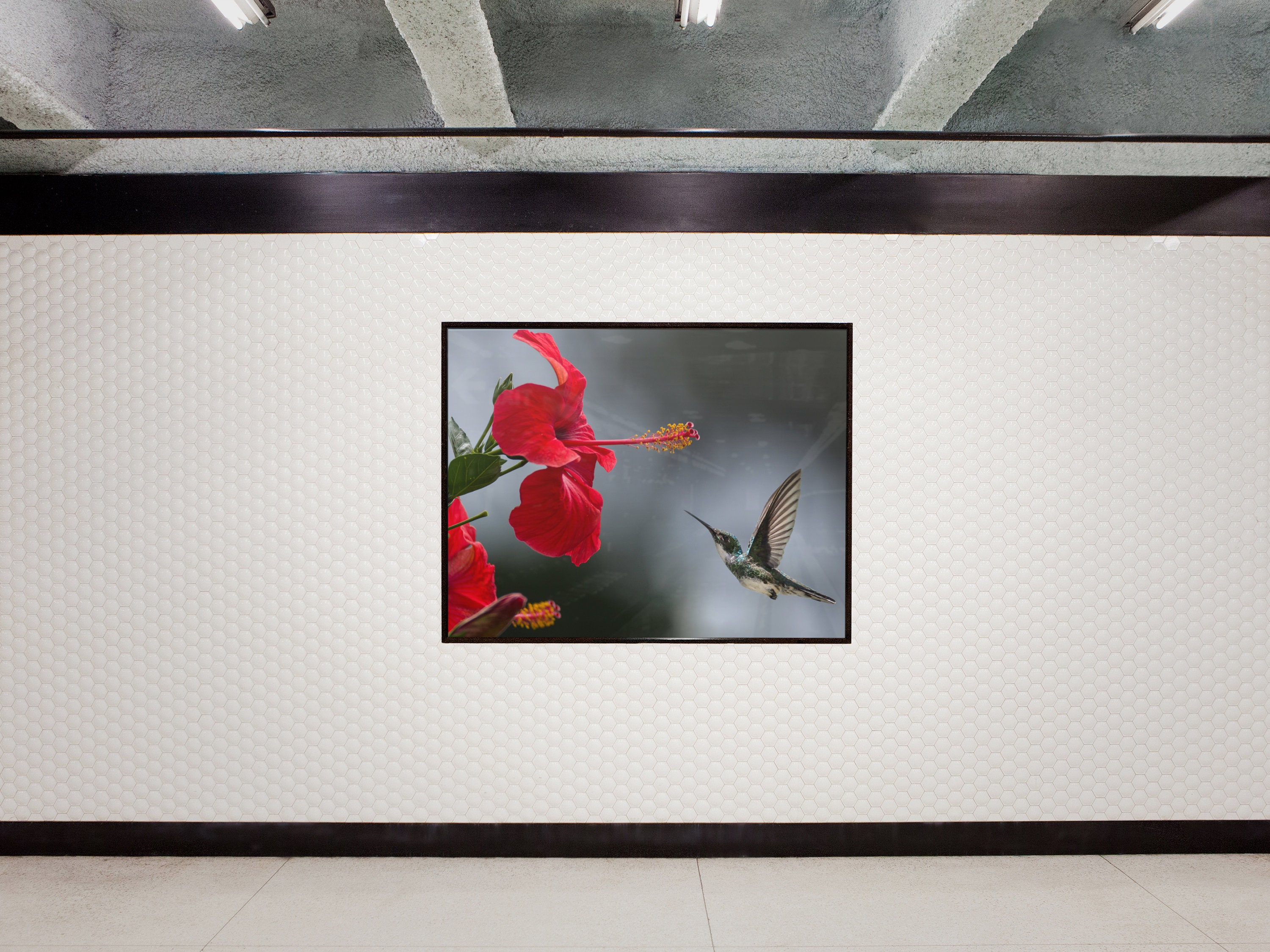 Hummingbird Canvas Wall Art Hummingbird Painting Colorful Hummingbird ...