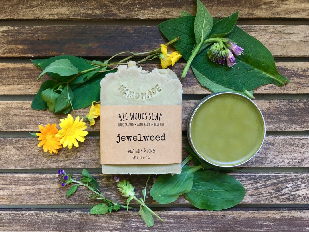 Jewelweed Soap & Salve Kit: Lavender Spearmint EO Blend, Hiker's Gift ...