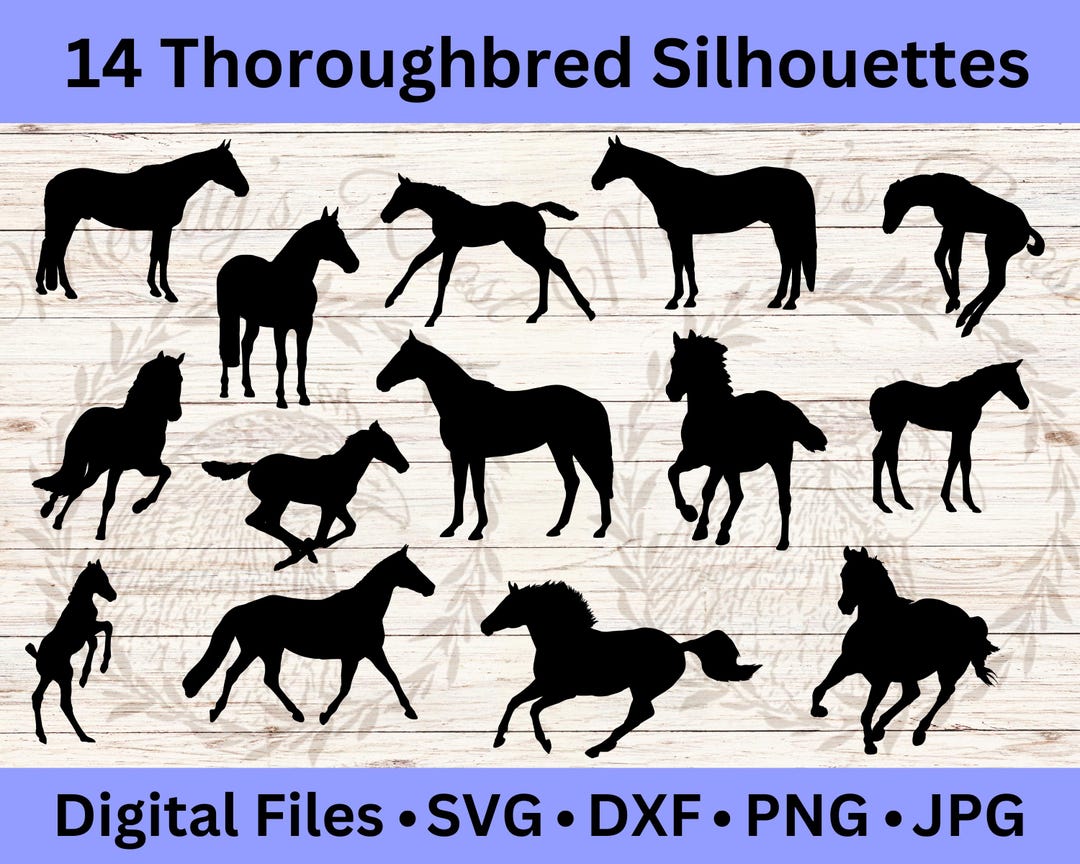 Thoroughbred Horse Clipart Bundle, Running Horse SVG, Animal Silhouette ...