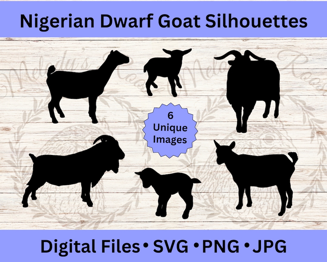 Nigerian Dwarf Goat SVG Bundle, Cute Farm Clipart, Livestock Cricut SVG ...