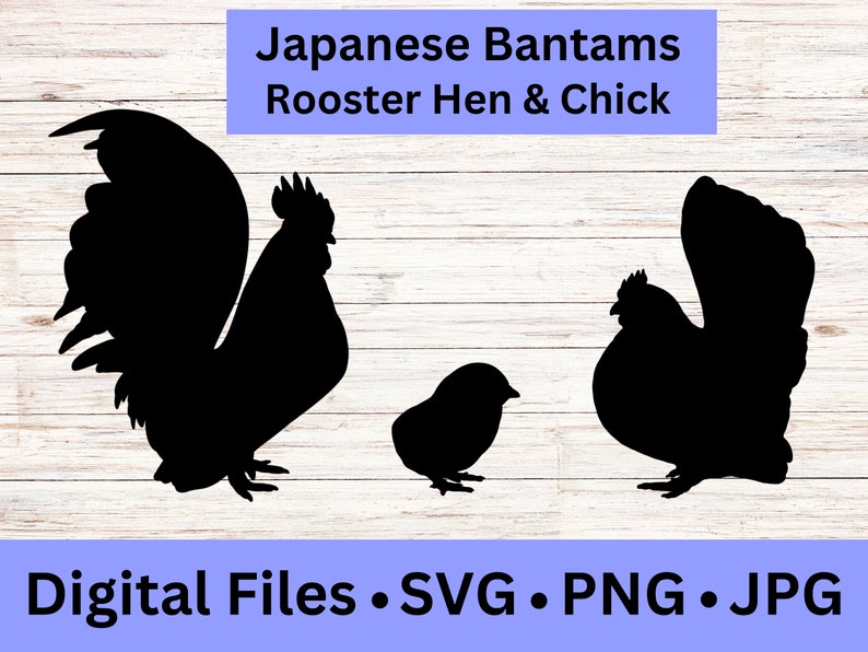 Cute Chicken Clipart, Cricut SVG, Japanese Bantam Silhouettes, Rooster ...