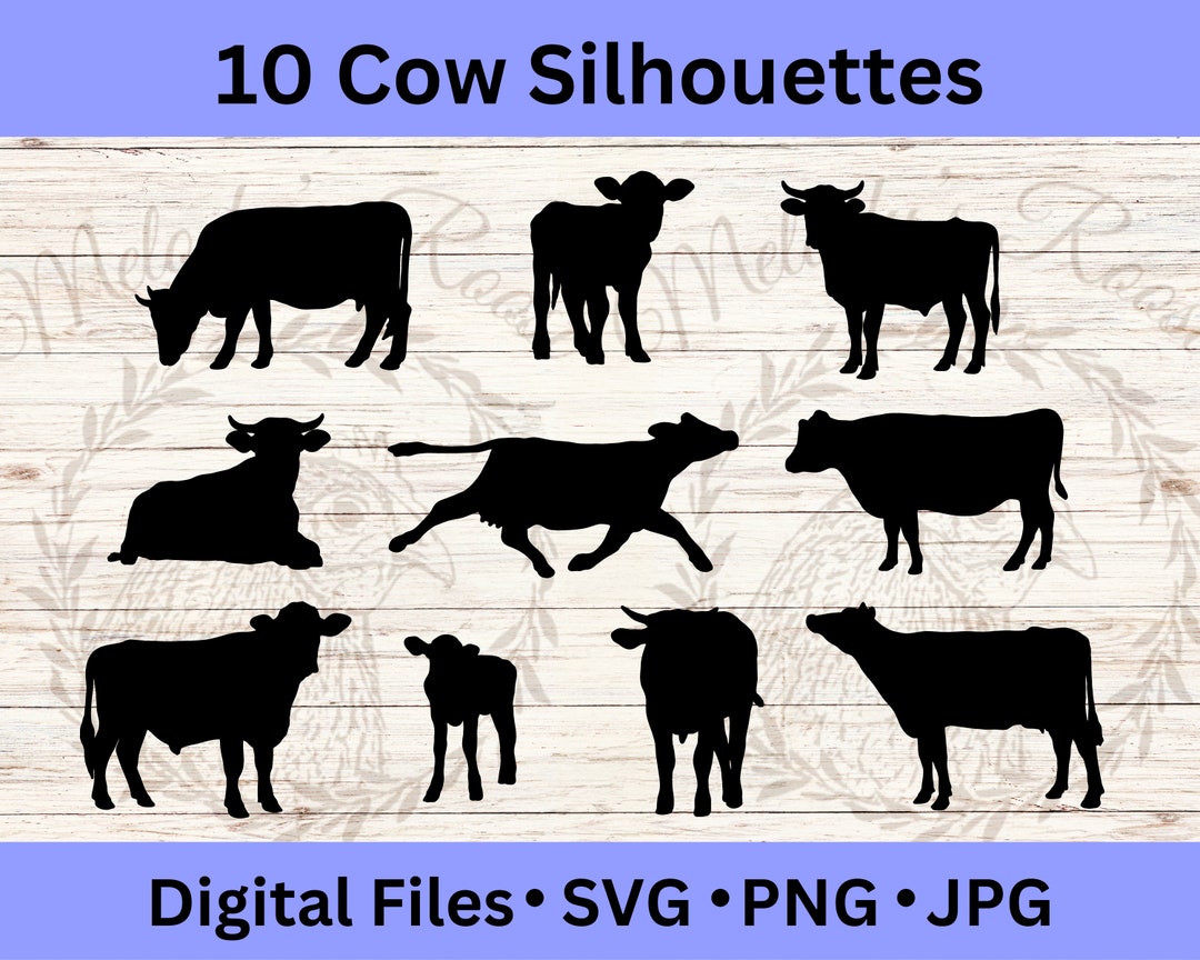 Cow SVG Bundle, Farm Animal Clipart, Cow Silhouette, Livestock Show ...