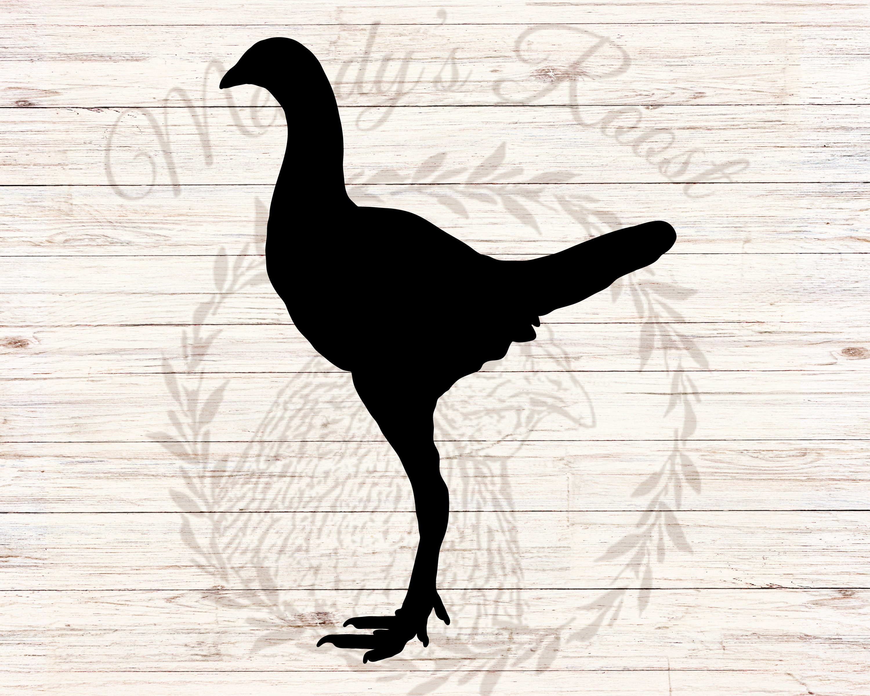 Modern Game Chicken Cricut SVG, Livestock Graphic, Animal SVG, Digital ...