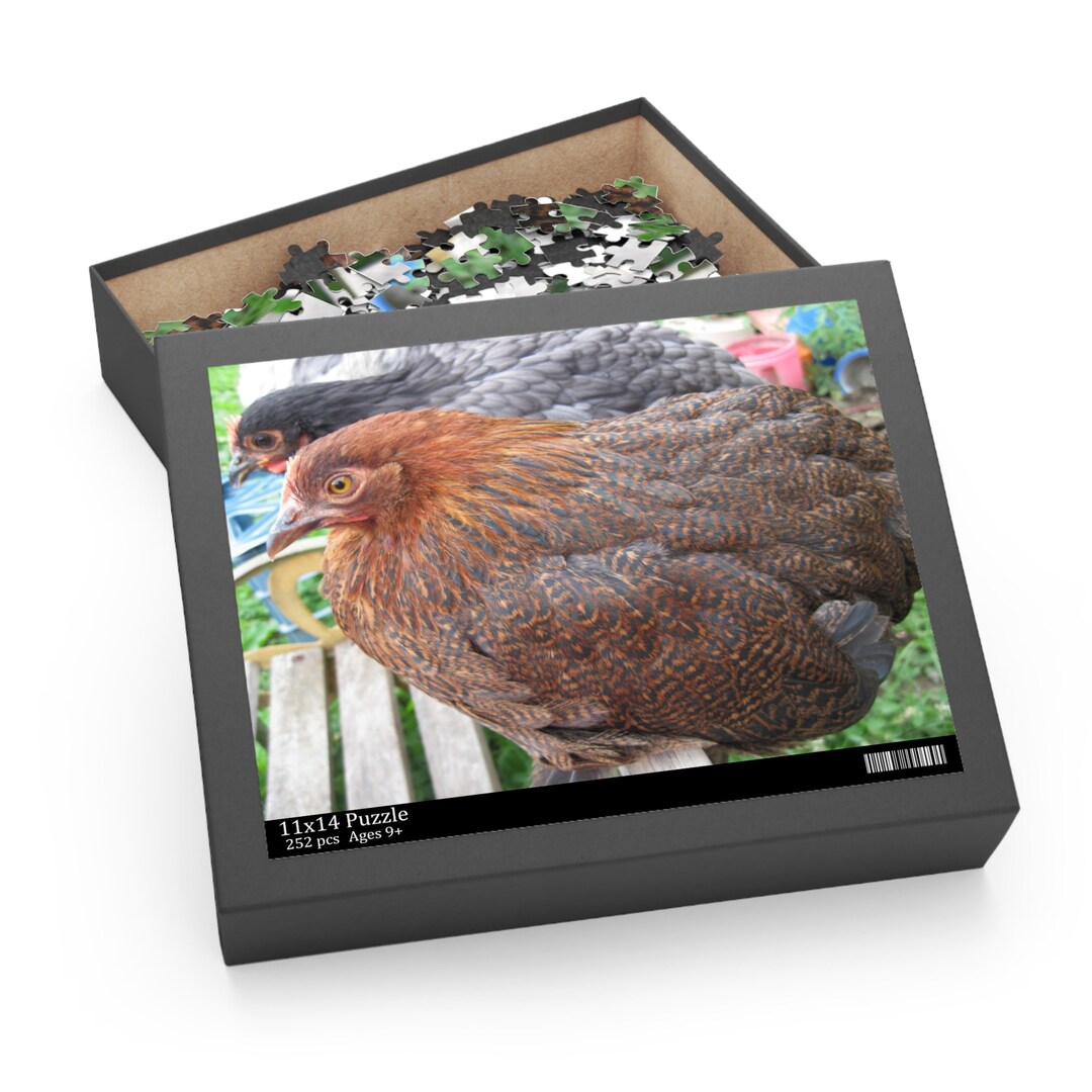 Cochin Chicken Puzzle Animal Photo Puzzle Gift for Family - Etsy